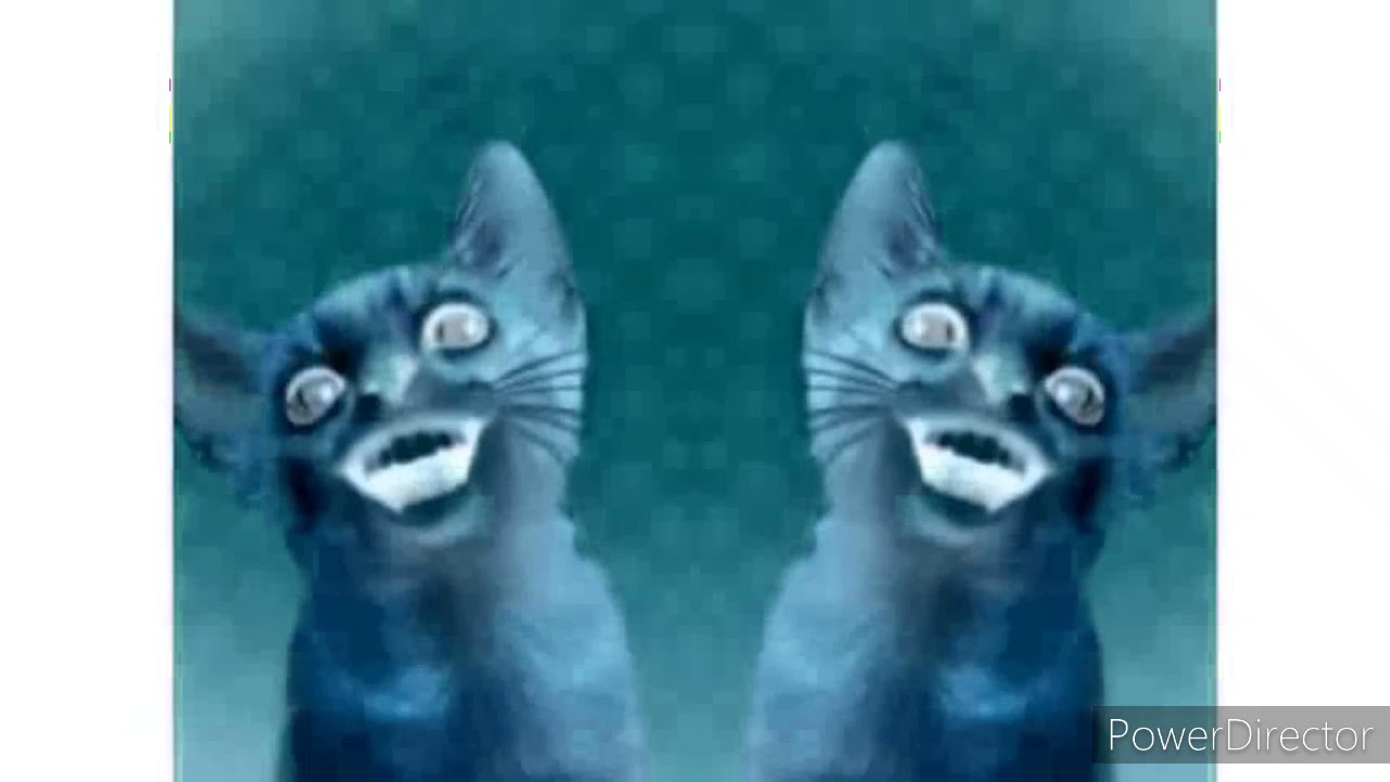 Preview 2 Numa cat effects (sponsored by preview 2 effects) in low ...