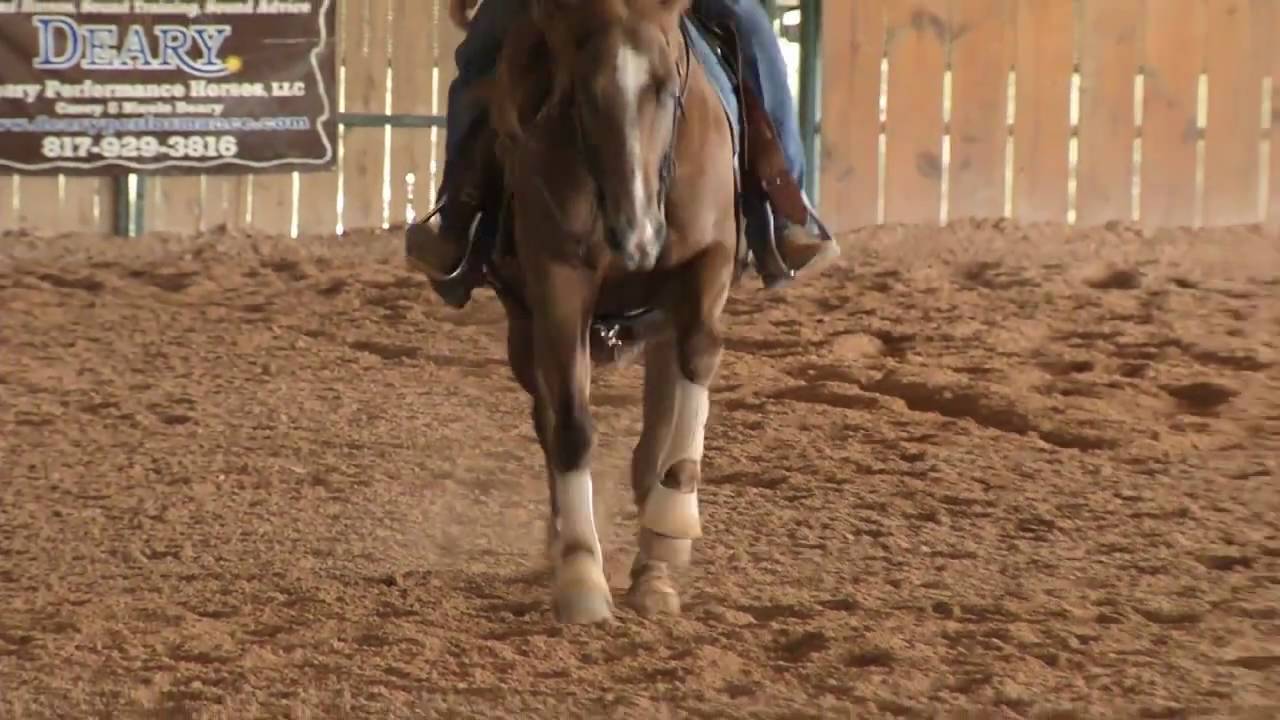 Texas Horse Report Interview with Casy Deary of Deary Performance ...