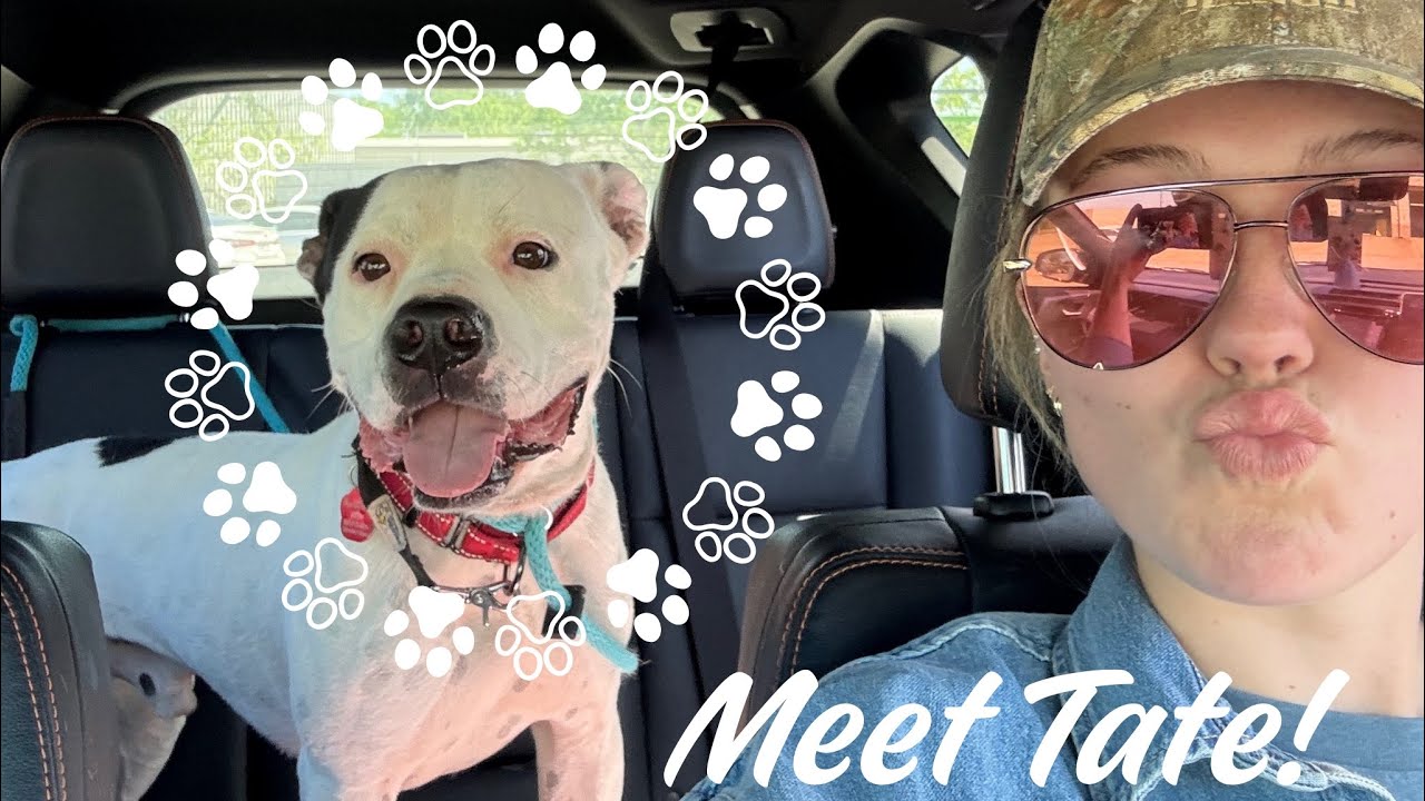 Meet Tate! AKA Taytay, AKA Tater Tot! - YouTube