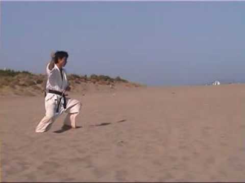 Shotokai - kata Chinte - YouTube