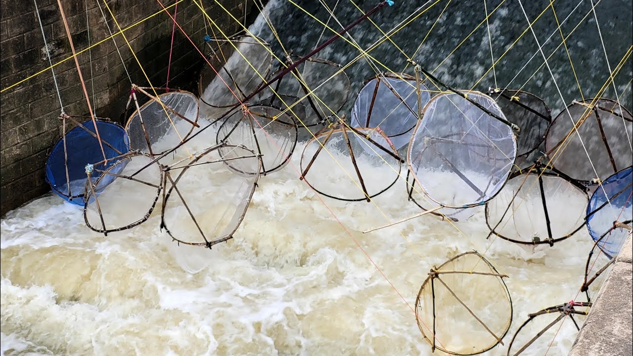 fish fishing at small barrage - YouTube