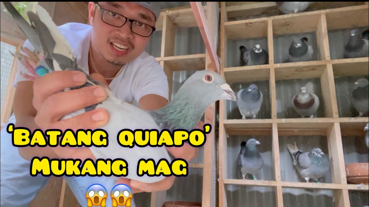 ‘BATANG QUIAPO ‘ PARANG SIRA ULO GUSTO AGAD MAKA KAWALA😱😱😱 - YouTube