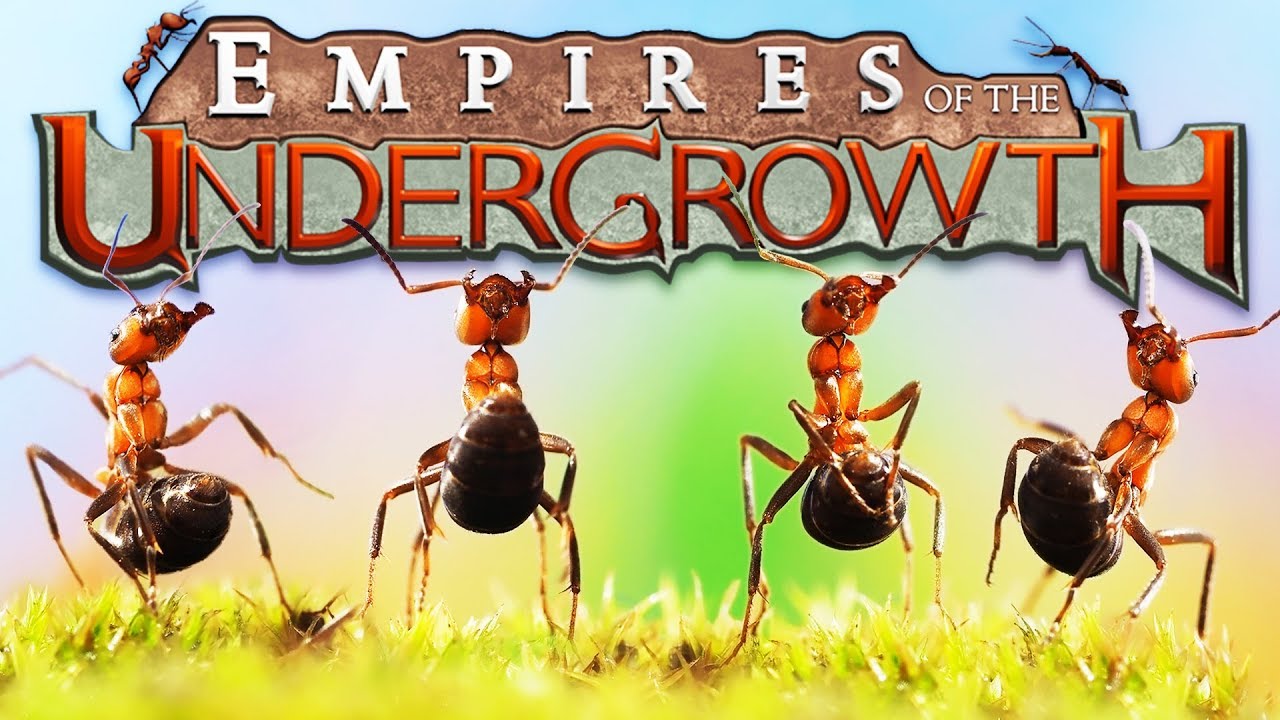The Ant EMPIRE! - Building a Black ANT COLONY! - Empires of the ...