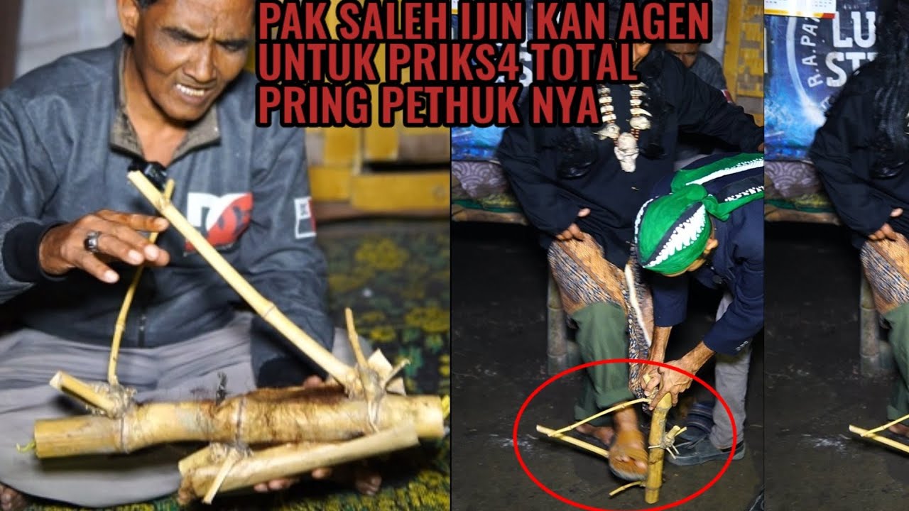 PRING PETHUK ASLI PAK SALEH PALING DI CARI PALING MAHAL AGEN JAKARTA ...