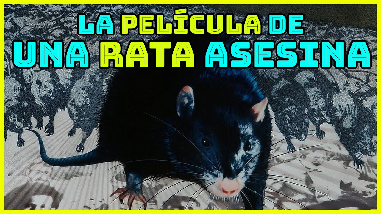 No PUEDO CREER que esta PELÍCULA te HAGA LLORAR | Resumen BEN, LA RATA ...