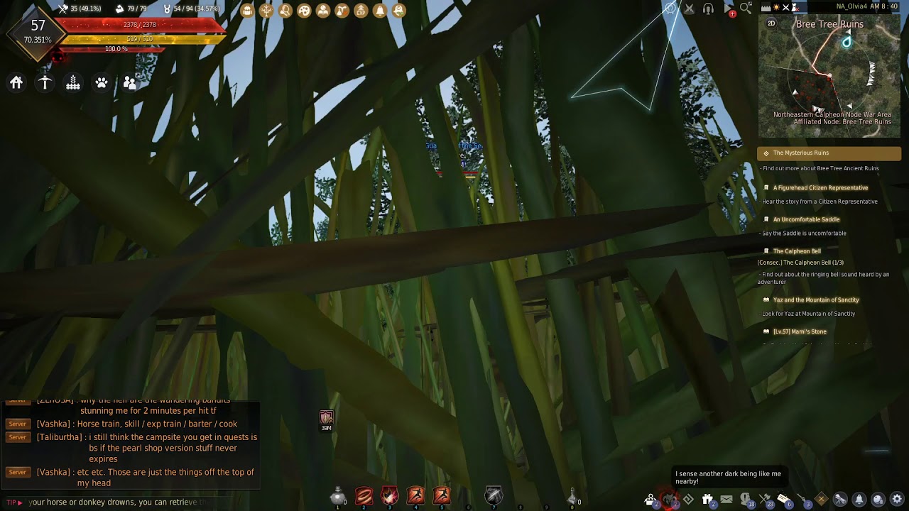 BDO Weird sound in Bree Tree Ruins - YouTube