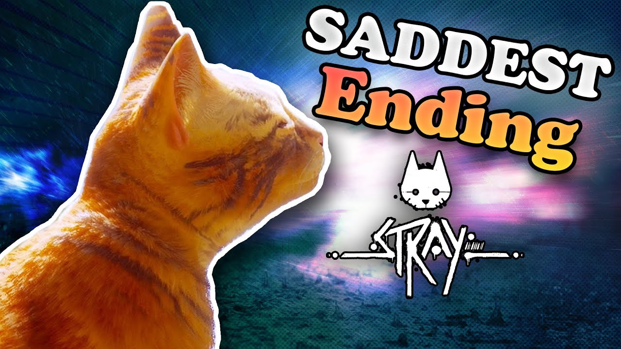 One Of The Saddest Endings (Stray Ending) #stray - YouTube