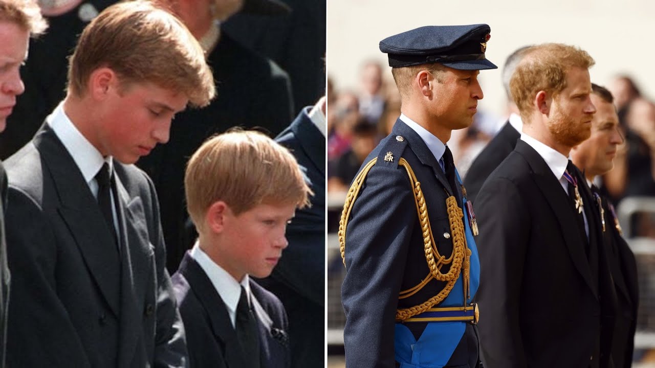 Prince William & Prince Harry at Queen's Procession & Mother Diana's ...
