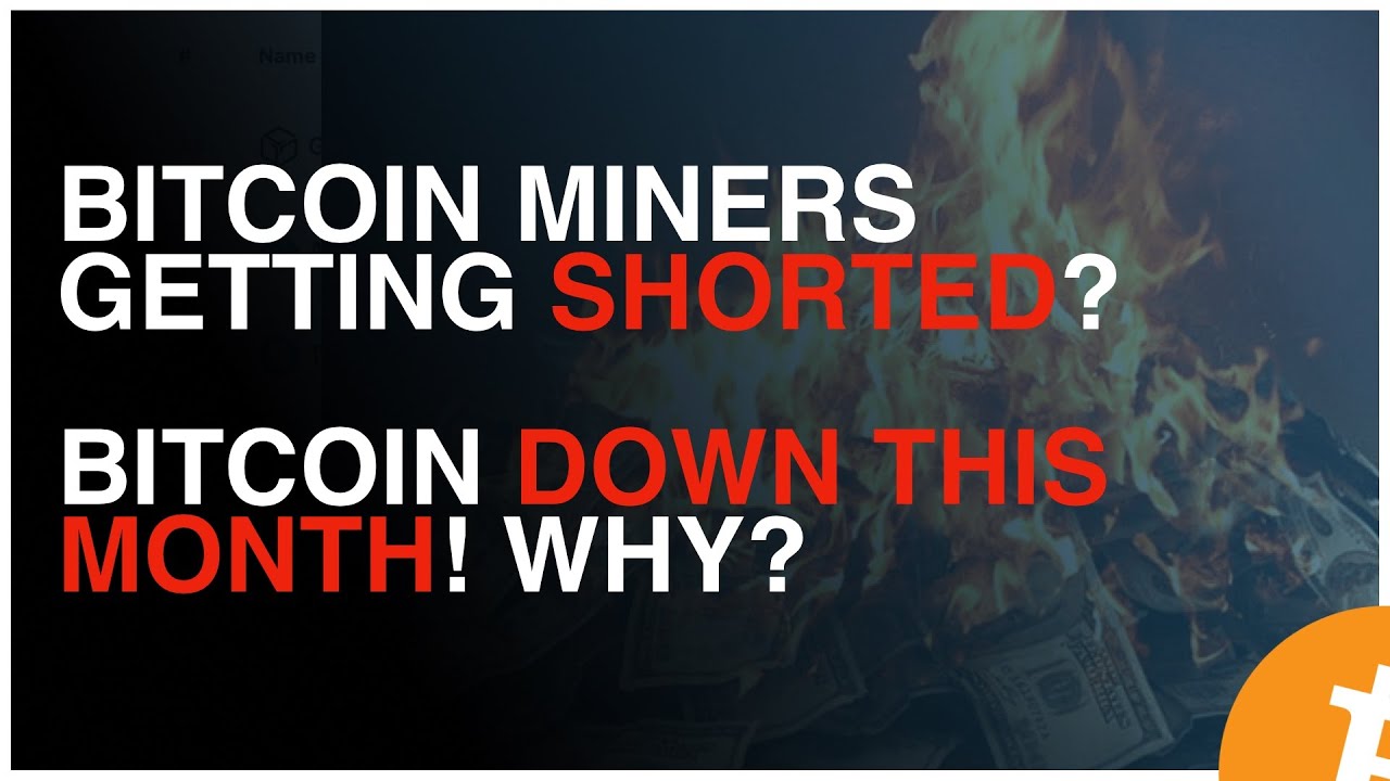 Bitcoin Miners Getting Shorted? Bitcoin Down This Month! Why? - YouTube