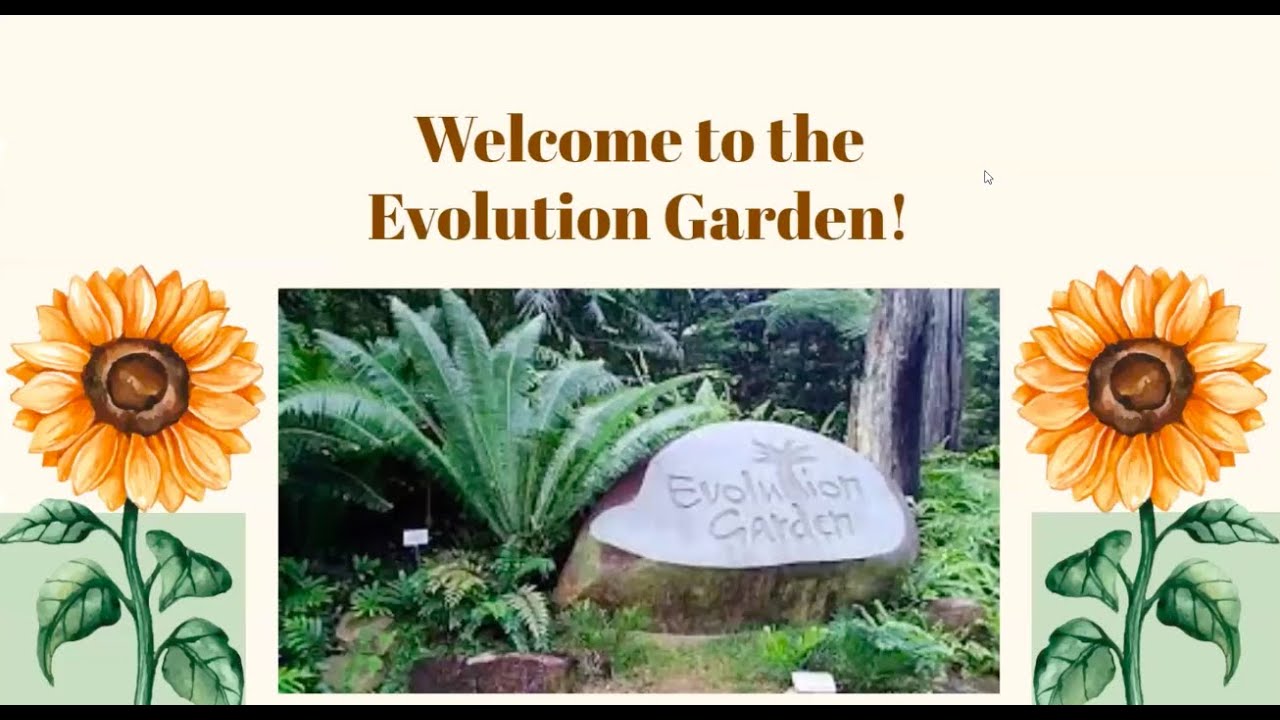 Evolution Garden Virtual Trip!! - YouTube