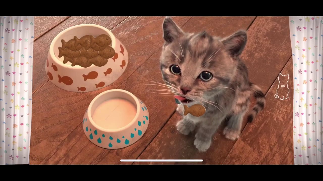Little Kitten & Friends - Learn with the cutest cat! (Fox and Sheep ...