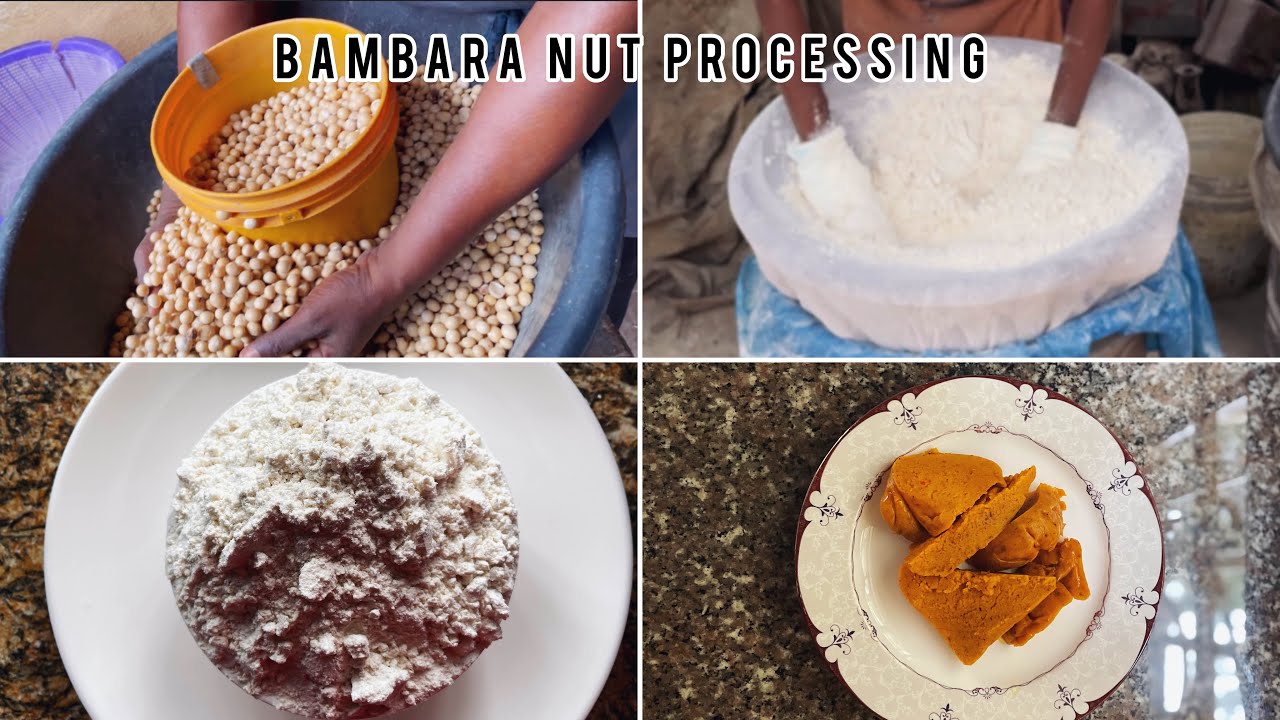 The Processing of Okpa - Bambara Nut, from Nuts to Flour - How To Make ...