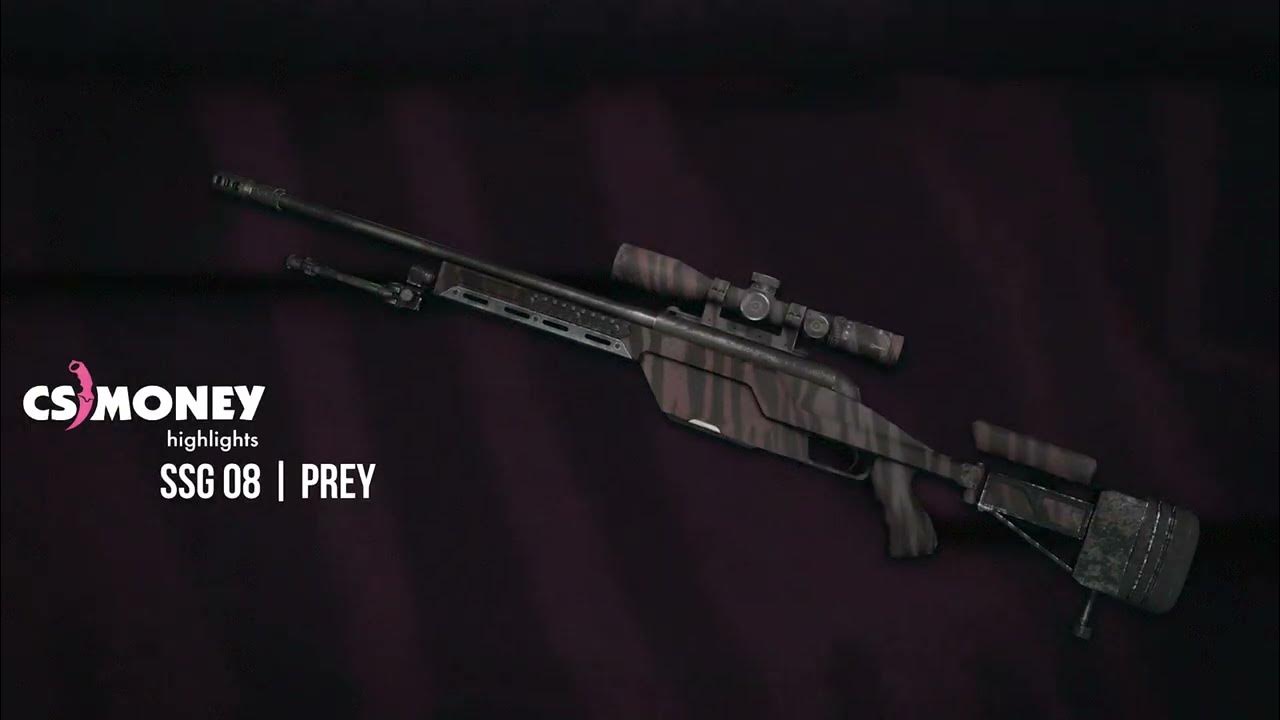 CS:GO | SSG 08 - Prey - YouTube