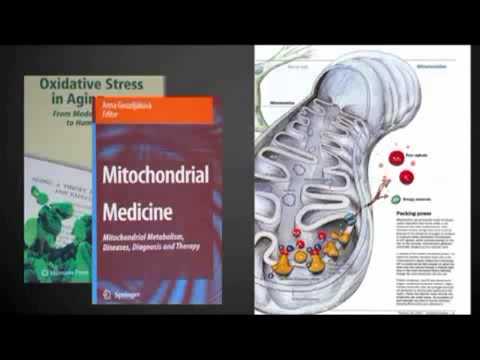 Dr Dan Murphy DC Endorses Protandim - YouTube