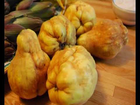 Value addition to Fruits and Vegetables through Processing - YouTube