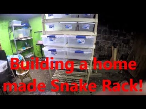 Home made Snake Rack - YouTube