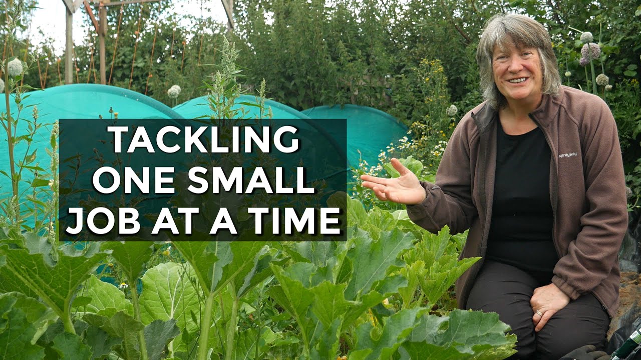 Time Management in the Garden? | A gentle day's work - YouTube