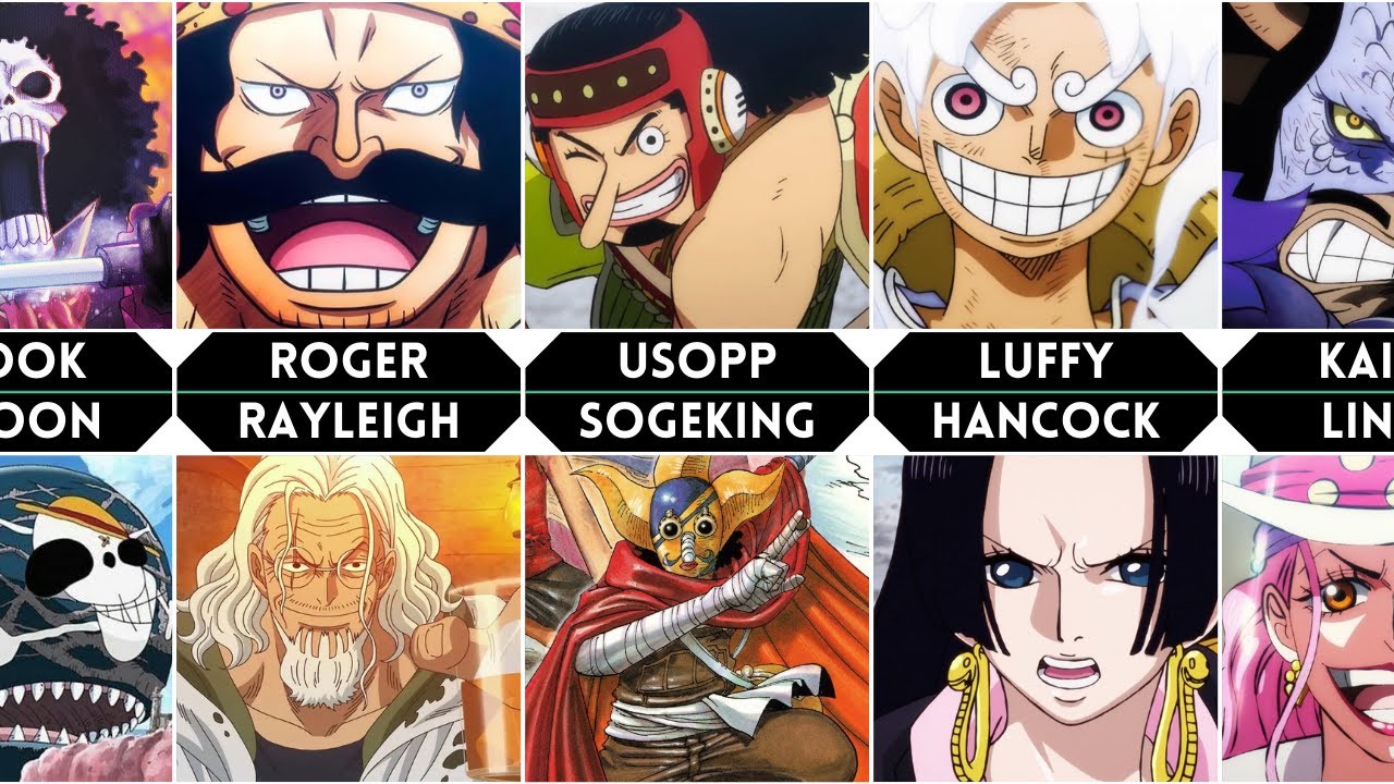 Best Friends of One Piece Characters - YouTube