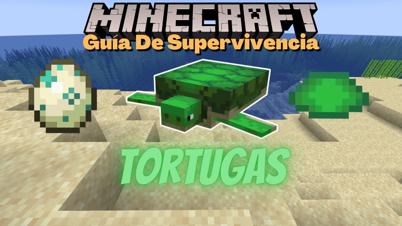Cómo Reproducir Las Tortugas ️Minecraft Guía De Supervivencia [1.19 Ep ...