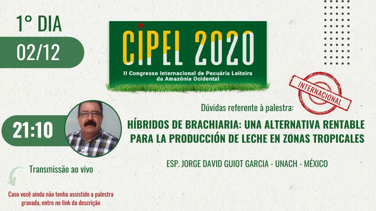II CIPEL - Perguntas ao palestrante Jorge David Guiot Garcia - YouTube