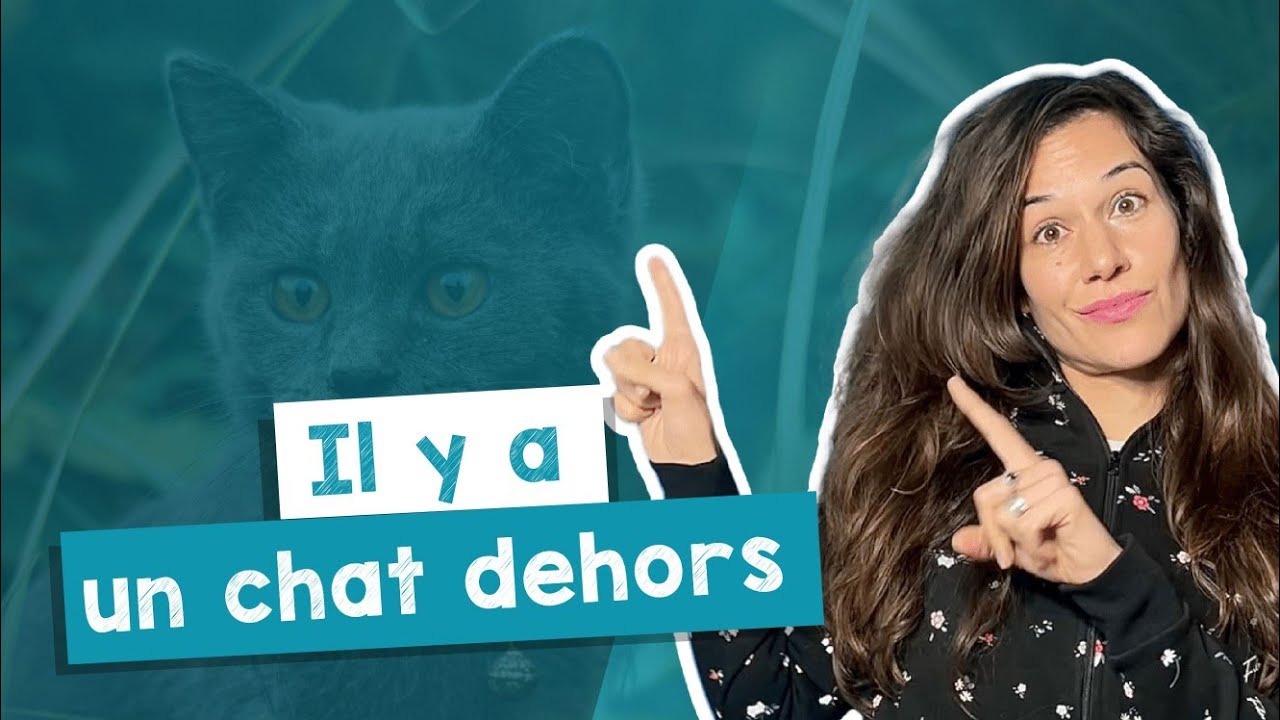 Learn how to use "il y a" in your daily conversations! - A1 [with ...