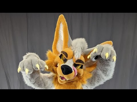 Coyote twins fursuit unboxing More Fur Less - YouTube