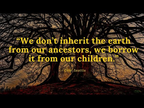 Most Beautiful Quotes About Nature | Best Quotes About Nature