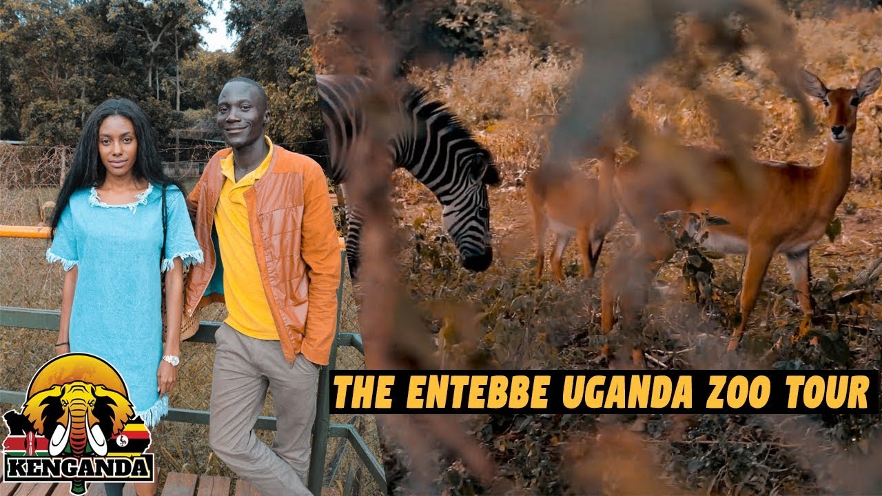 The Entebbe Uganda Zoo Tour ( Part 1) - YouTube
