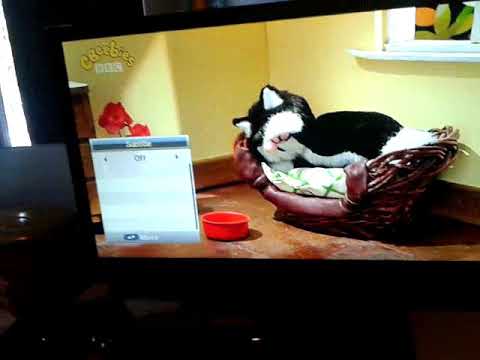 Sing along with Harrison Season 1. Goodbye Sun Hello Moon - YouTube