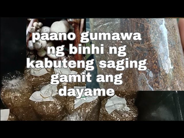 Sakim Quotes Pascal Siakam Shakes Off Mini Slump Against Knicks: 'I'm