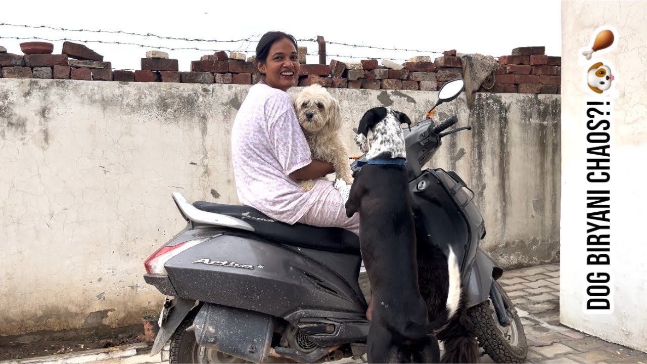Village Dog Biryani 🍗🐶 | Desi Pet Food Hack | अमोहा Vlogs - YouTube