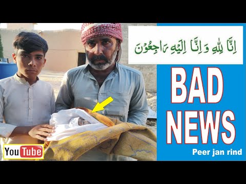 Bad News my daughter is Death [[ Peer Jan rind ]] - YouTube