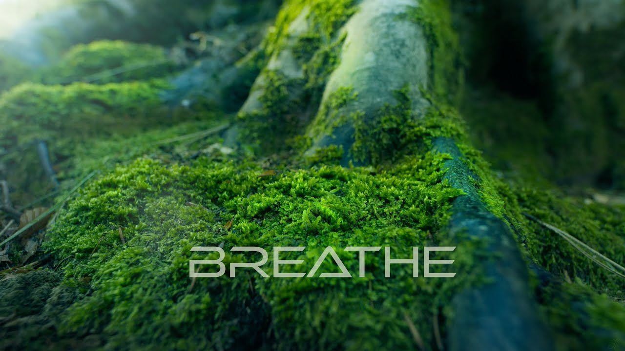 The Healing: Breathe and Reborn in Nature - need for Inner Peace ...