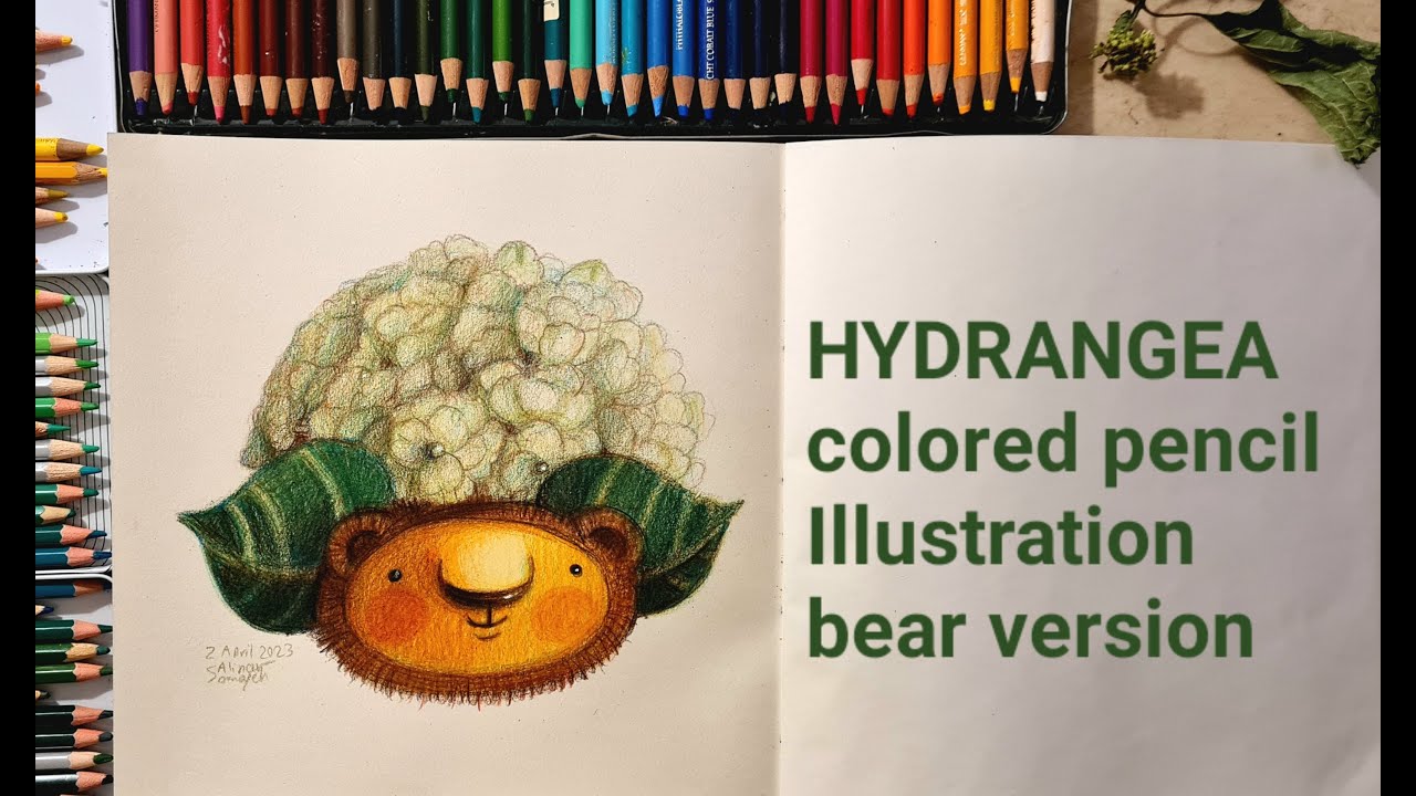 Hydrangea Flower Drawing/ Colored pencils Illustration - YouTube