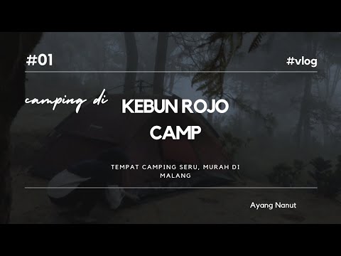 Camping kok manja banget?? banyak fasilitas!, murah lagi !! Kebun Rojo ...