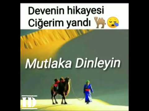 Devenin hikayesi ciğerim yandi