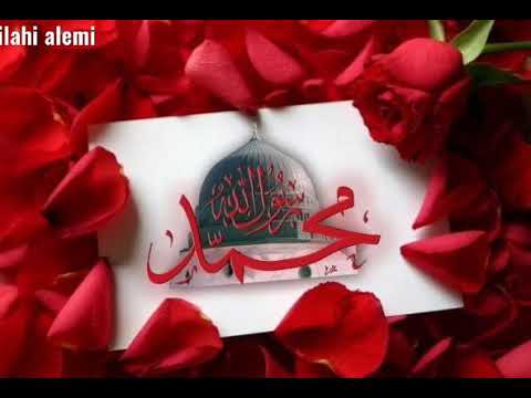 Nusret gündüz ah ümmetim diye ağlar  🌹❤️🌹Muhammed sav🌹❤️🌹