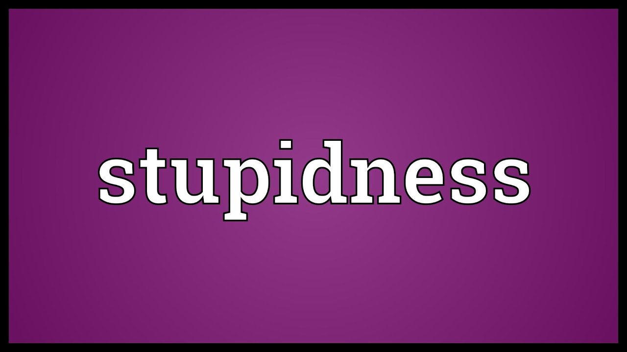 Stupidness Meaning YouTube stupidness-meaning-youtube
