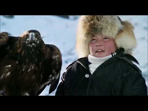 Kaya kartallarını kullanarak tilki avlamak