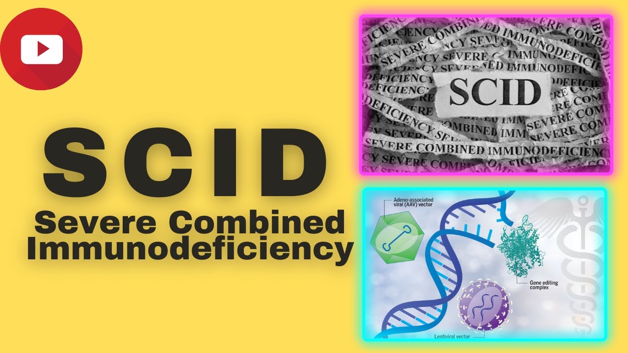 SCID (Severe Combined Immunodeficiency) | Genesis Academy delhi - YouTube