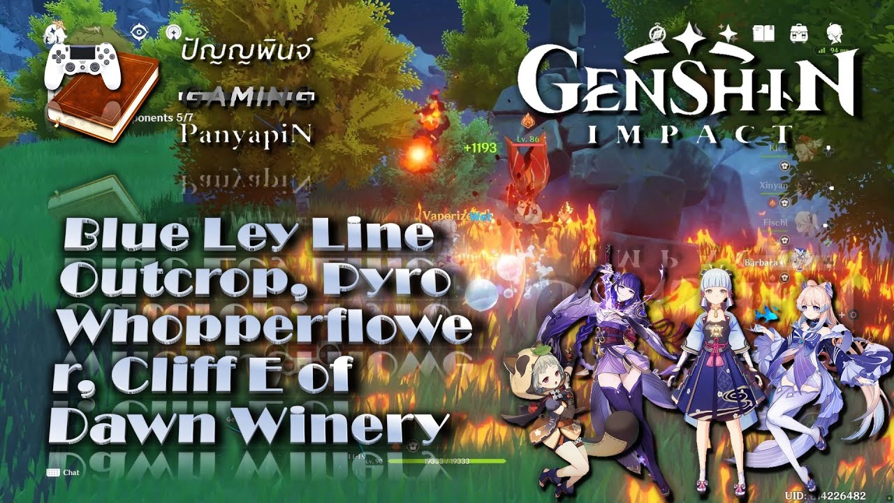 Blue Ley Line Outcrop, Pyro Whopperflower, Cliff E of Dawn Winery ...