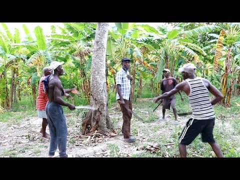 KE PWASON EPIZÒD 16 - YouTube