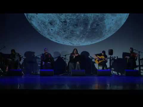 Ángel Solana en festival Linares flamenco 2020