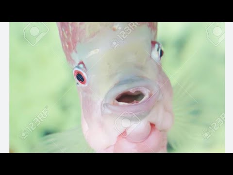 TN Speedsolving Winter 2024 (Cubing Comp Vlog) MY 10TH CUBING ...