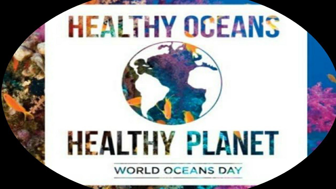 HEALTHY OCEANS HEALTHY PLANET/WORLD OCEAN DAY//2020. - YouTube
