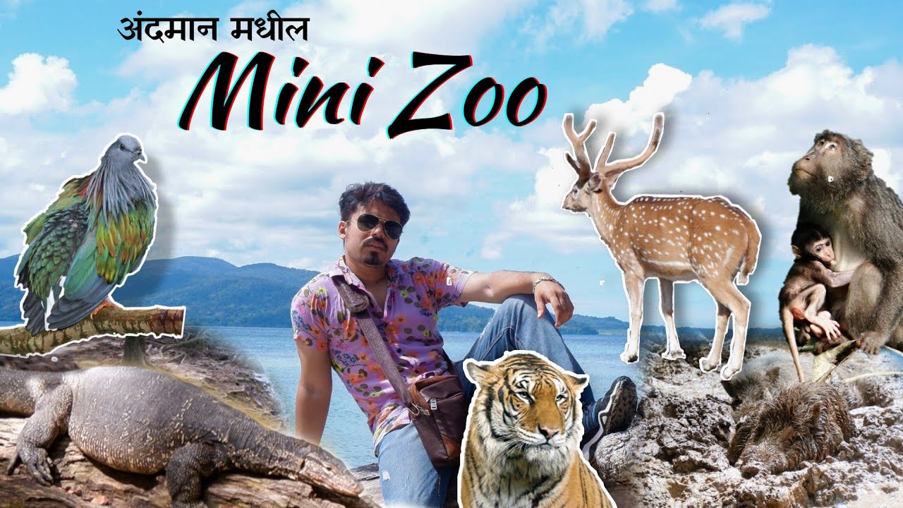 Chidiya Tapu | Mini Zoo In Andaman | सफर अंदमानची EP - 6 - YouTube