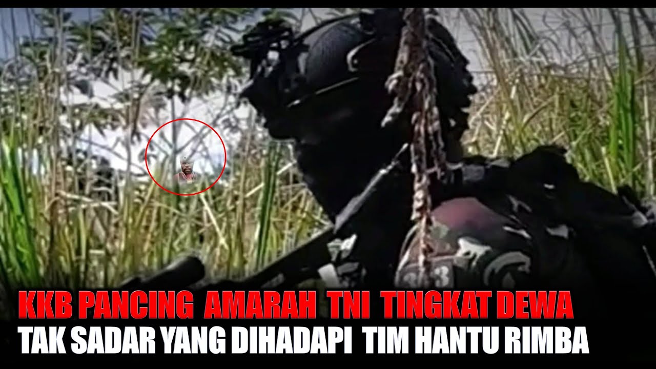 AMARAH TINGKAT DEWA TIM HANTU RIMBA TERPANCING. SKIL PASUKAN ELIT ...