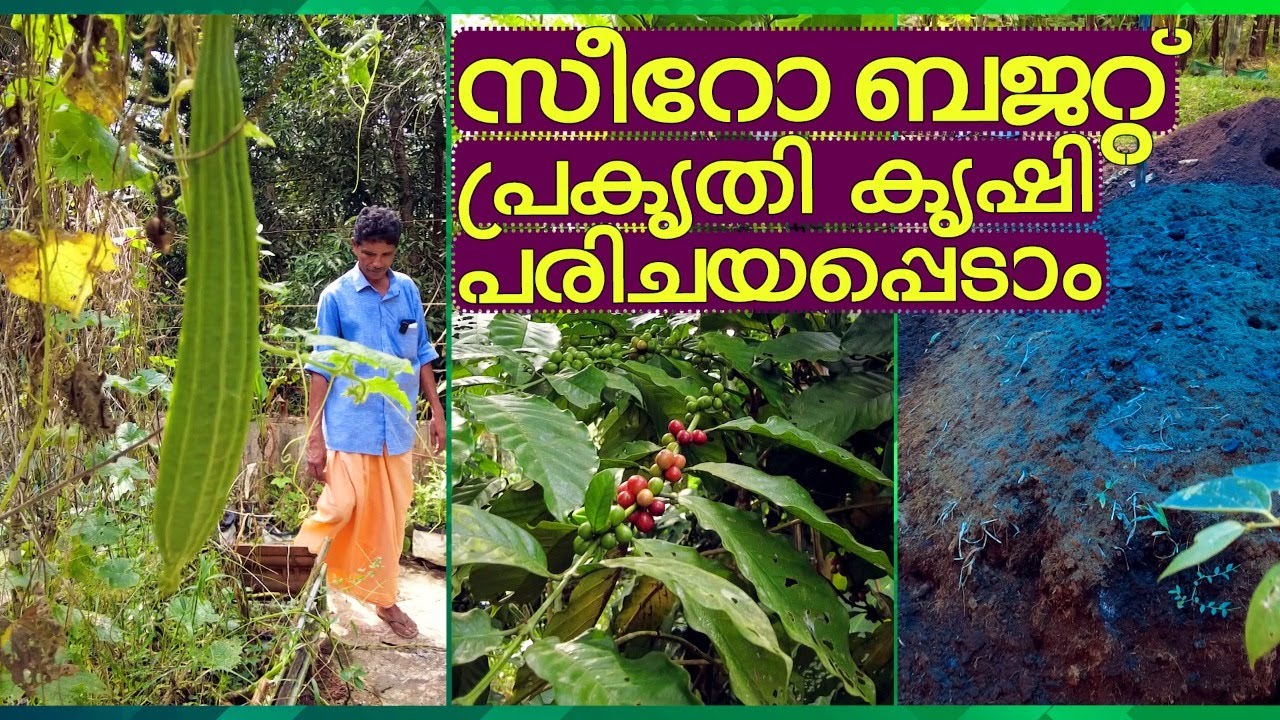Zero budget nature farming Let's get acquainted | organic farm ...