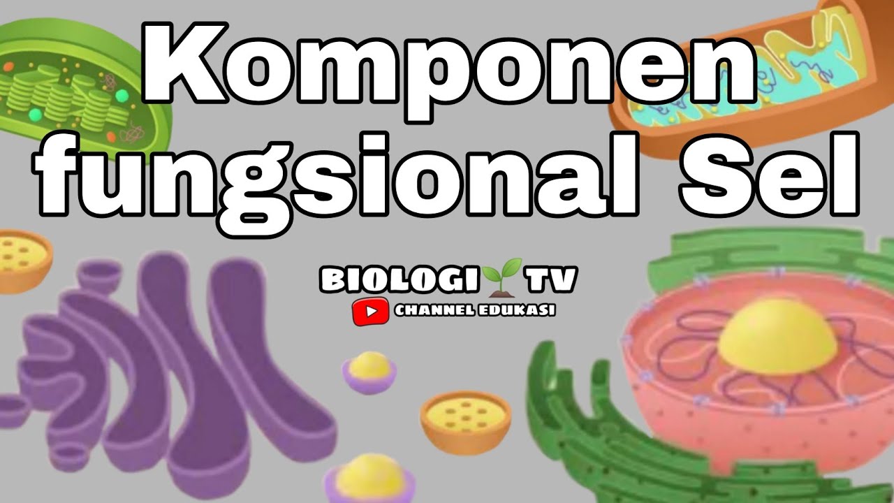 Organel sel ' komponen fungsional sel ' - biologi sma kelas bab SEL ...