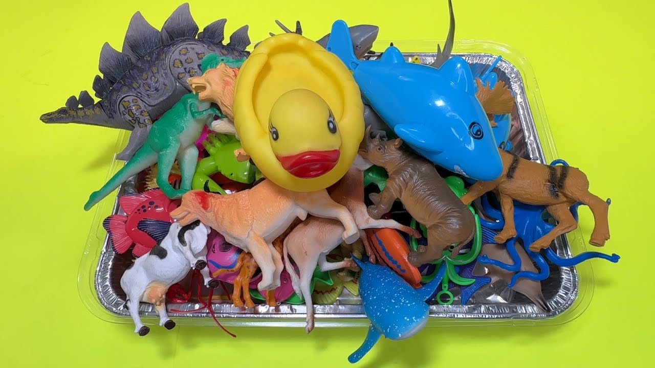 🐠 Satisfying Play with Full Of Zoo Animals & WilD Animals in The Box ...
